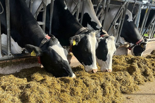 Appeen jälkilämpiäminen kuriin SäilöX Ape -ratkaisuilla | Lantmännen Agro